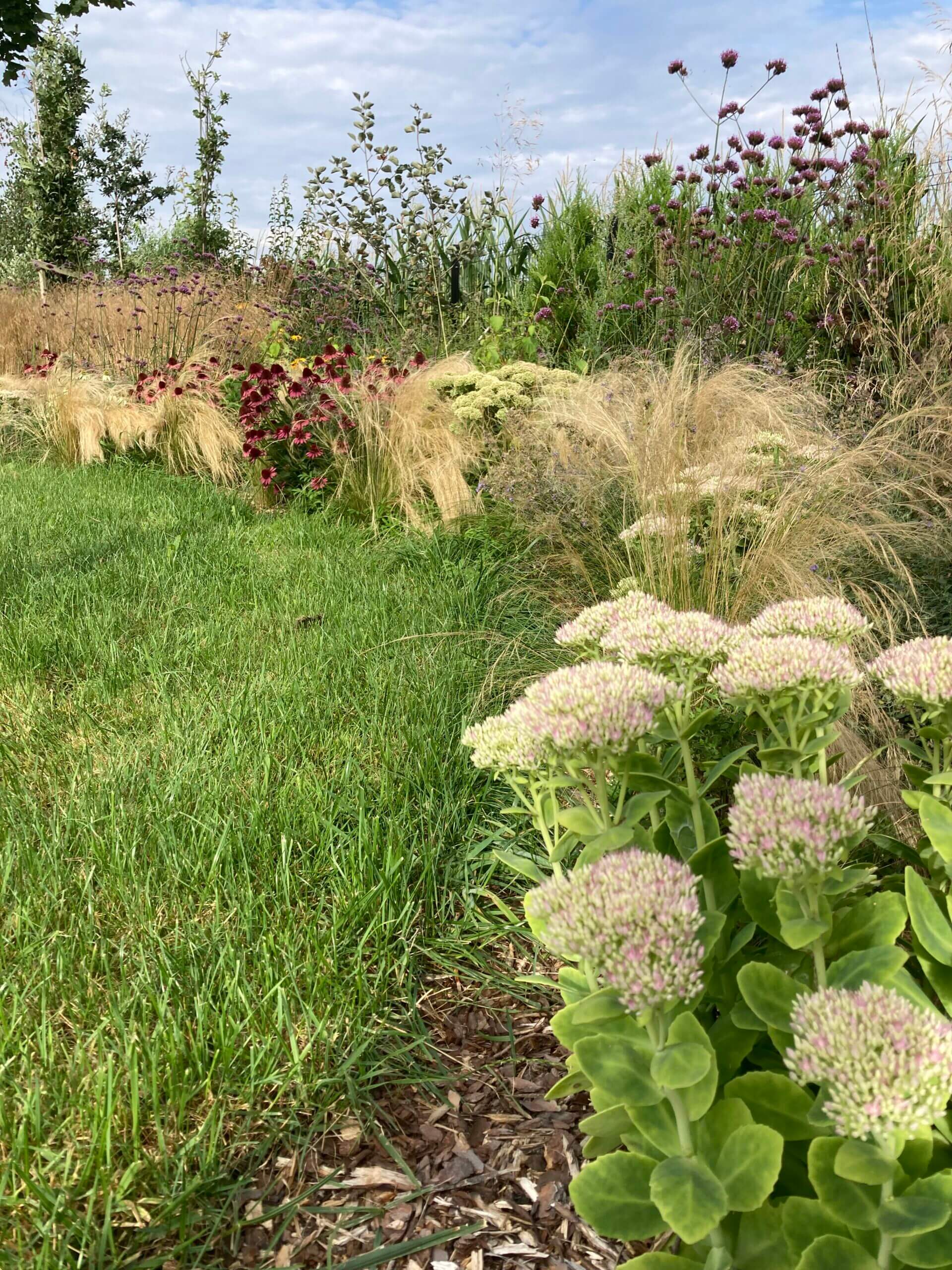 Plant Space Ogrody – Ogrody